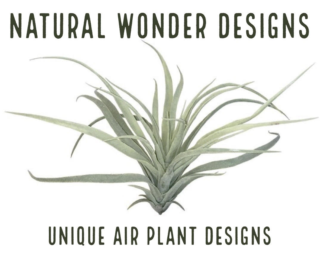 nwd logo | Fremont360